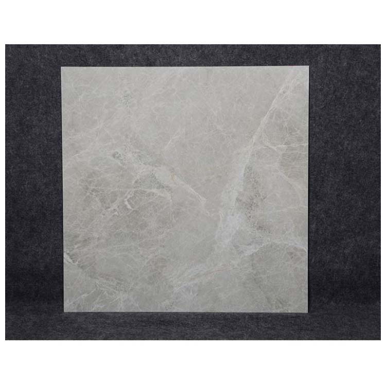 Grey Polished Ceramic Floor Tiles,Size: 600 x 600mm,Model: HS6401PQ ...